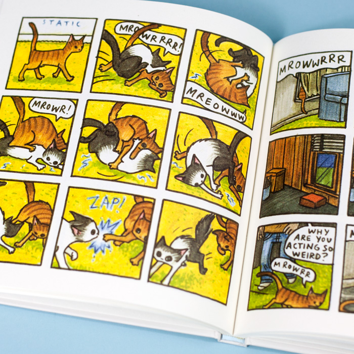 jeffrey-brown-cats-are-weird-at-buyolympia
