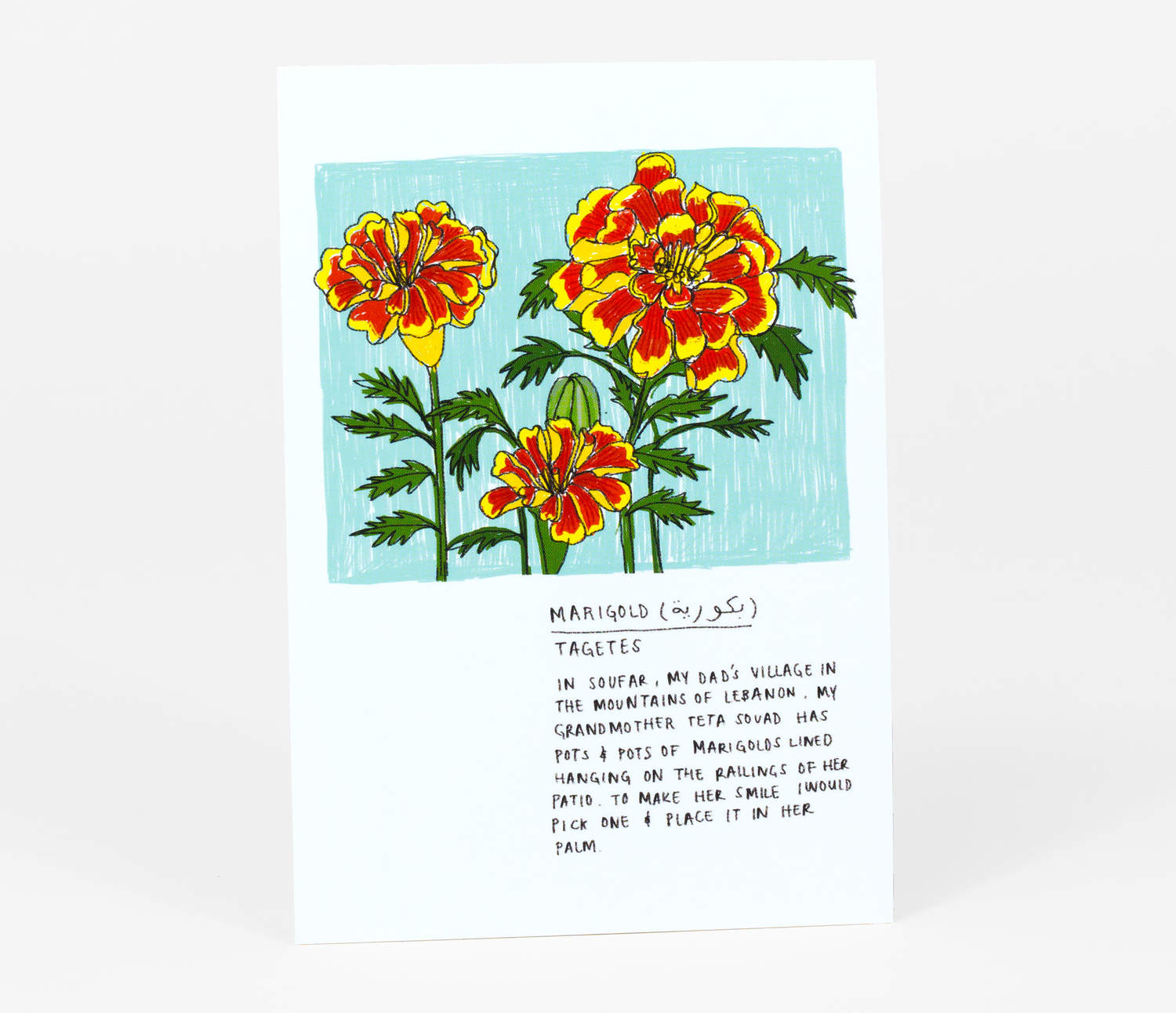 Princeton Architectural Press - Flower Box at buyolympia.com