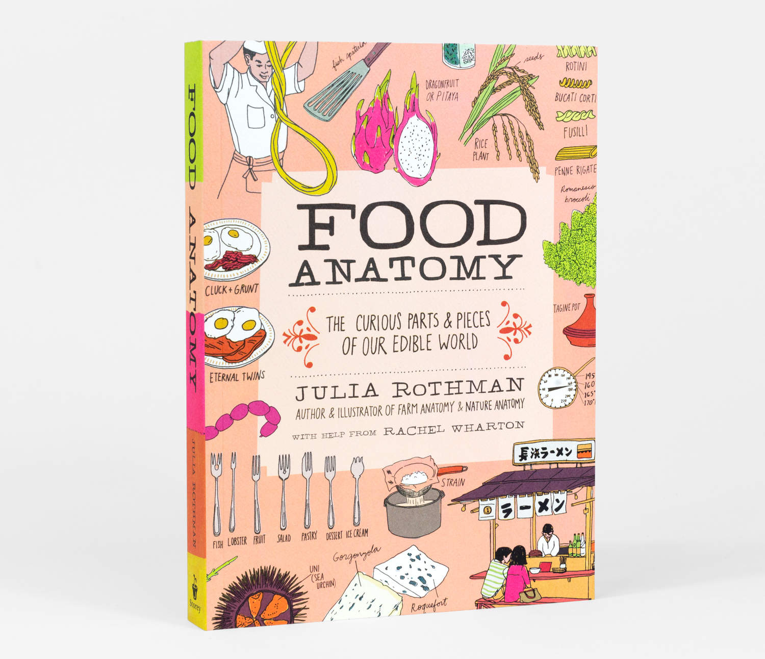 Julia Rothman - Food Anatomy at buyolympia.com