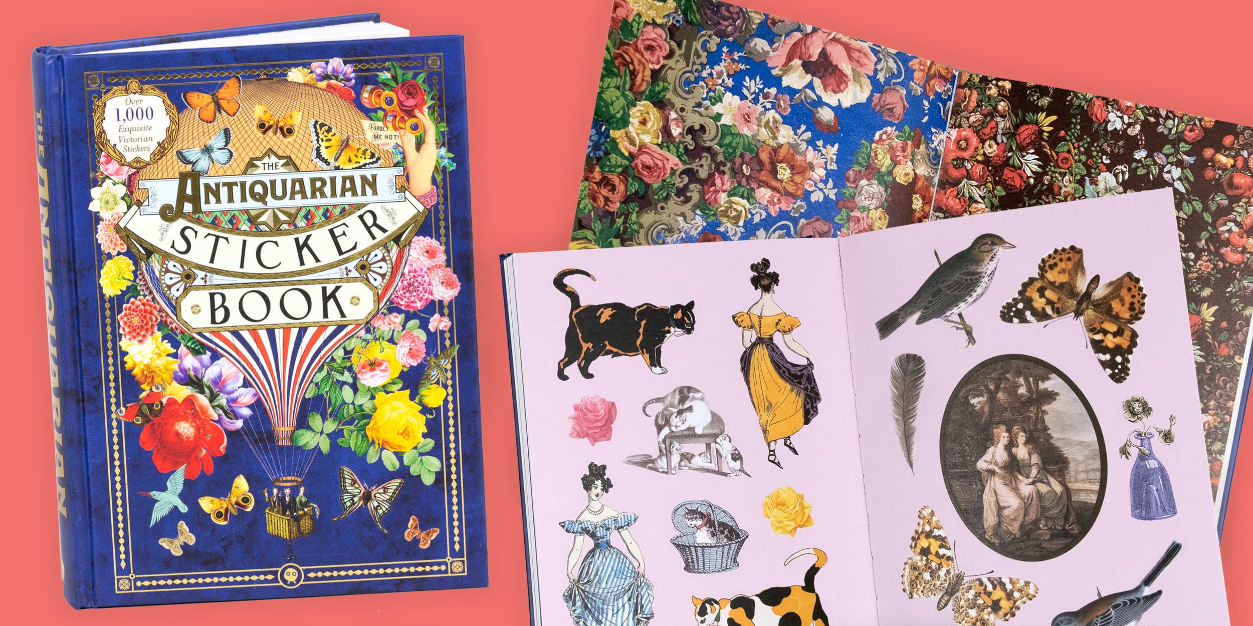 Odd Dot - The Antiquarian Sticker Book at buyolympia.com